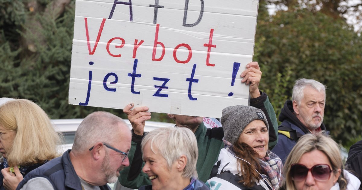 Antrag im Bundestag: Warum ein AfD-Verbot jetzt geprüft werden soll ...